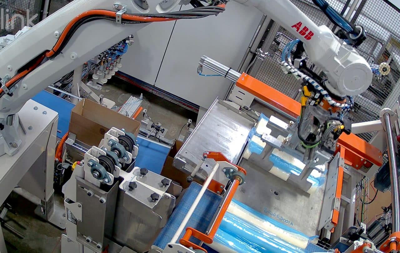 Block Case Packer | Efficient & Scalable Solution | ROBOVIC Inc